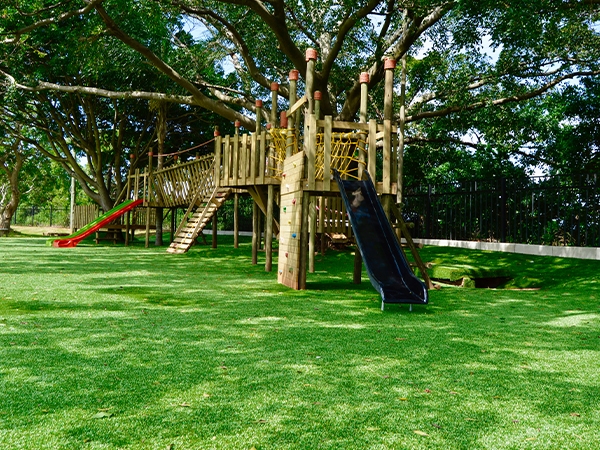 Artificial Grass & Fake Lawn | Easigrass South Africa